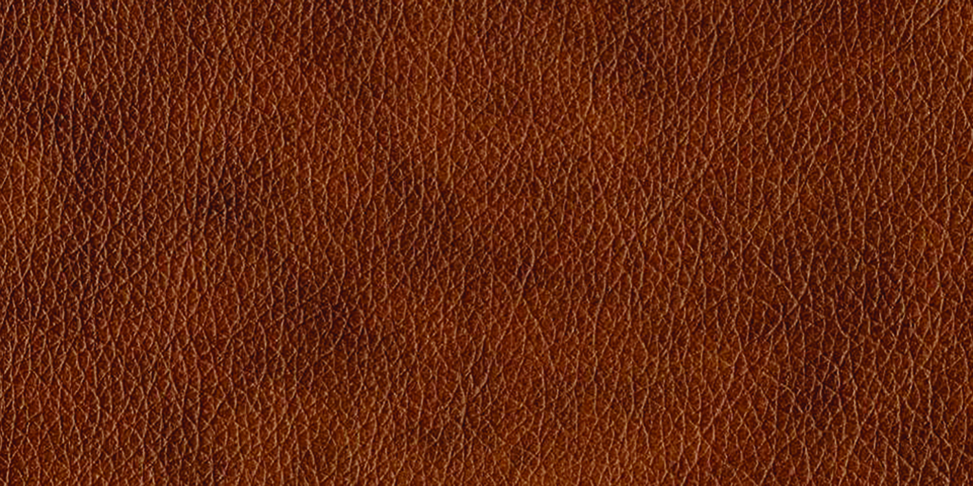 Leather Collection - G Plan